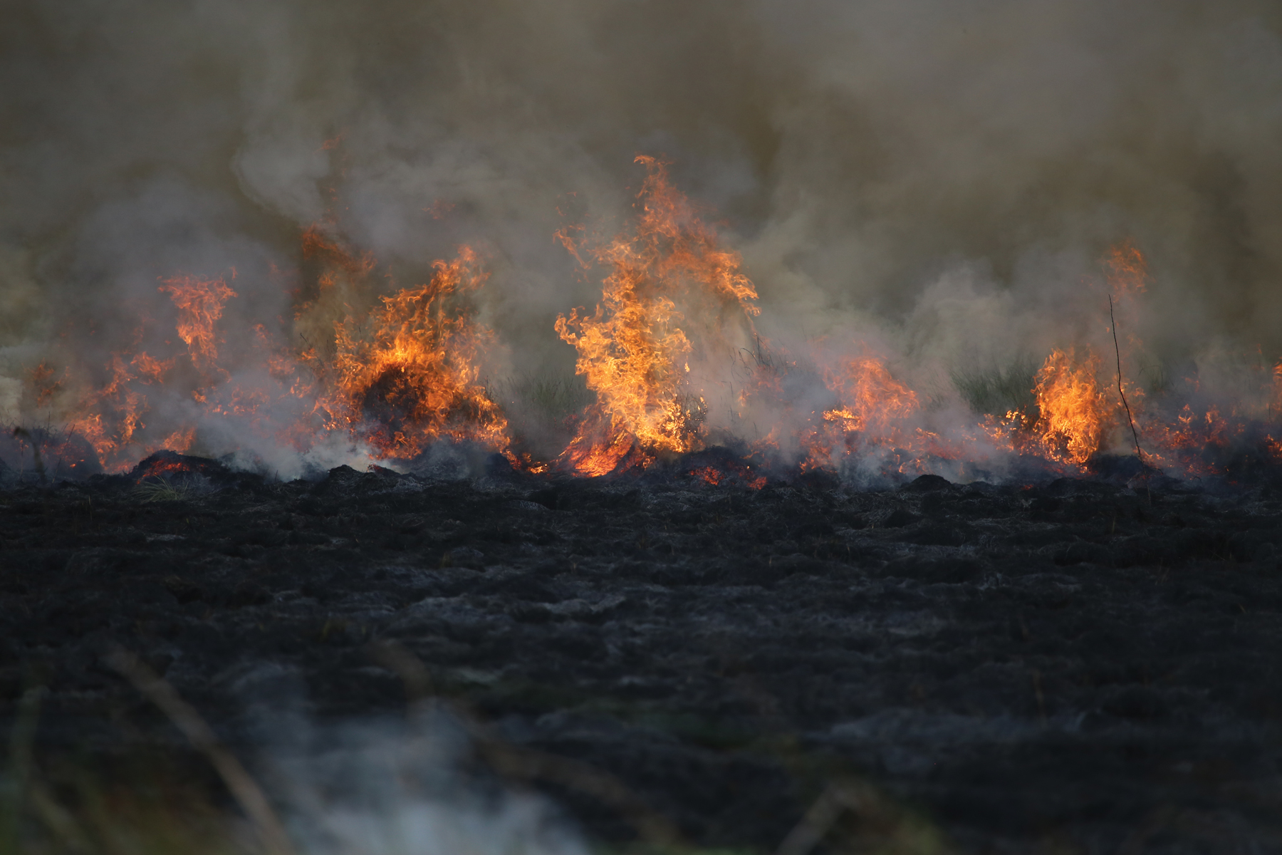 Fire Safety for Pasture Burning - Grit